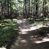 Upper Priest Lake Navigation Trail, Idaho - 251 Reviews, Map | AllTrails