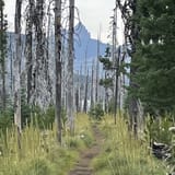 Three Fingered Jack via Pacific Crest Trail, Oregon - 374 Reviews, Map ...