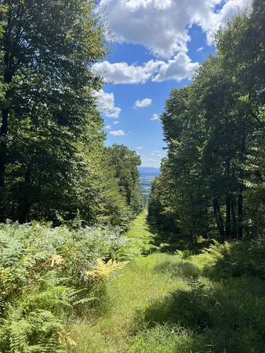 10 Best Trails and Hikes in Pine Grove | AllTrails