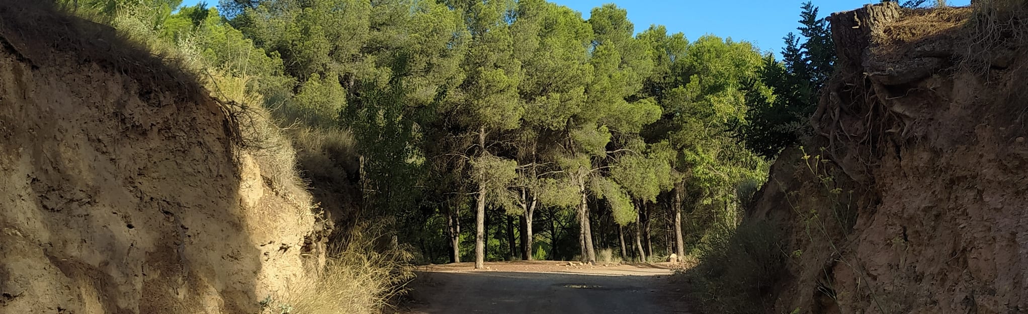 Camí de la Falaguera - Mirador de La Abeja - Les Clotxes: 9 Reviews ...