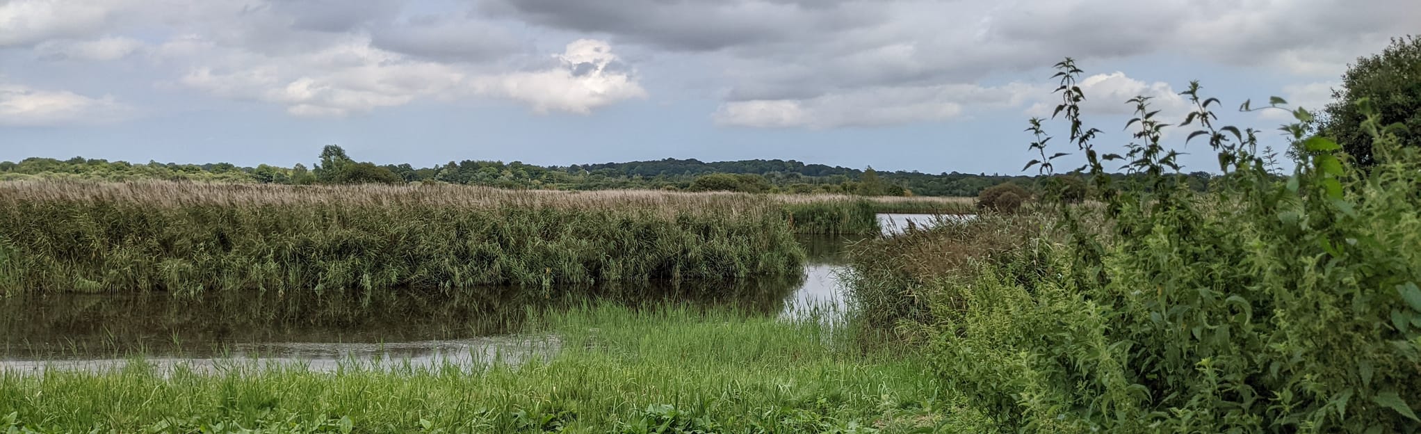 Strumpshaw Fen Circular, Norfolk, England - 21 Reviews, Map | AllTrails