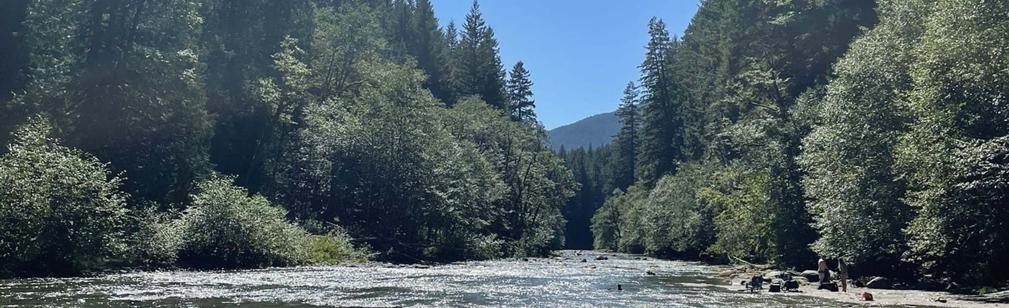 Lewis River Falls Trail, Washington - 1,345 Reviews, Map | AllTrails