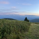 Mount Rogers Loop Trail, Virginia - 366 Reviews, Map | AllTrails