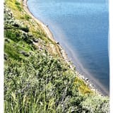 Elk Run Trail, Colorado - 48 Reviews, Map | AllTrails