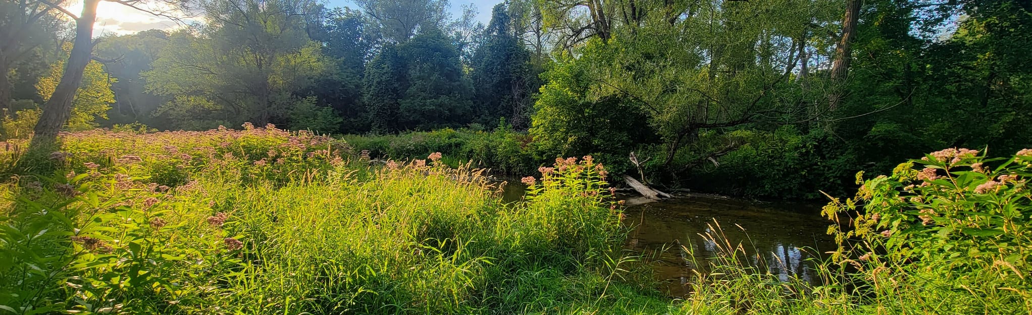 Blind Line Loop, Ontario, Canada - 269 Reviews, Map | AllTrails