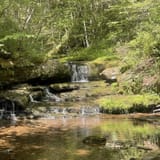 Black Forest North Loop Trail, Pennsylvania - 281 Reviews, Map | AllTrails