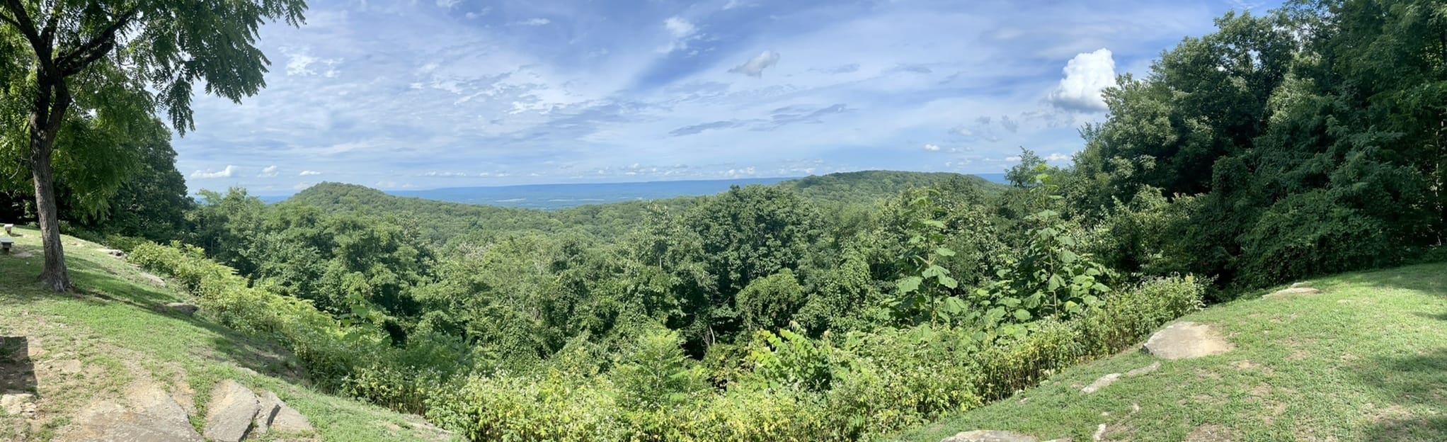 North Plateau Loop, Alabama - 898 Reviews, Map | AllTrails