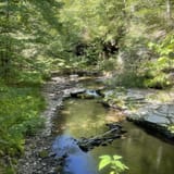 Black Forest North Loop Trail, Pennsylvania - 281 Reviews, Map | AllTrails