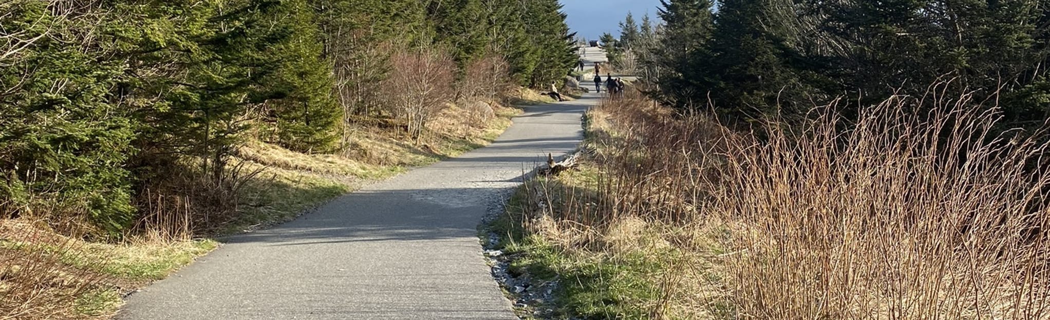 AllTrails | Mt. Collins Shelter, Clingman/Forney Trail and Camp 68: 33 ...