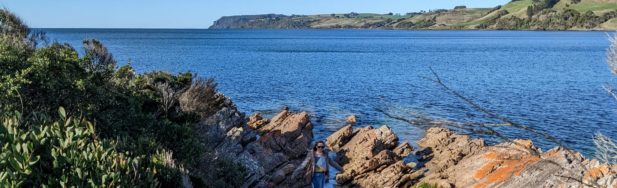 Boat Harbour Beach Track, Tasmania, Australia - 10 Reviews, Map | AllTrails