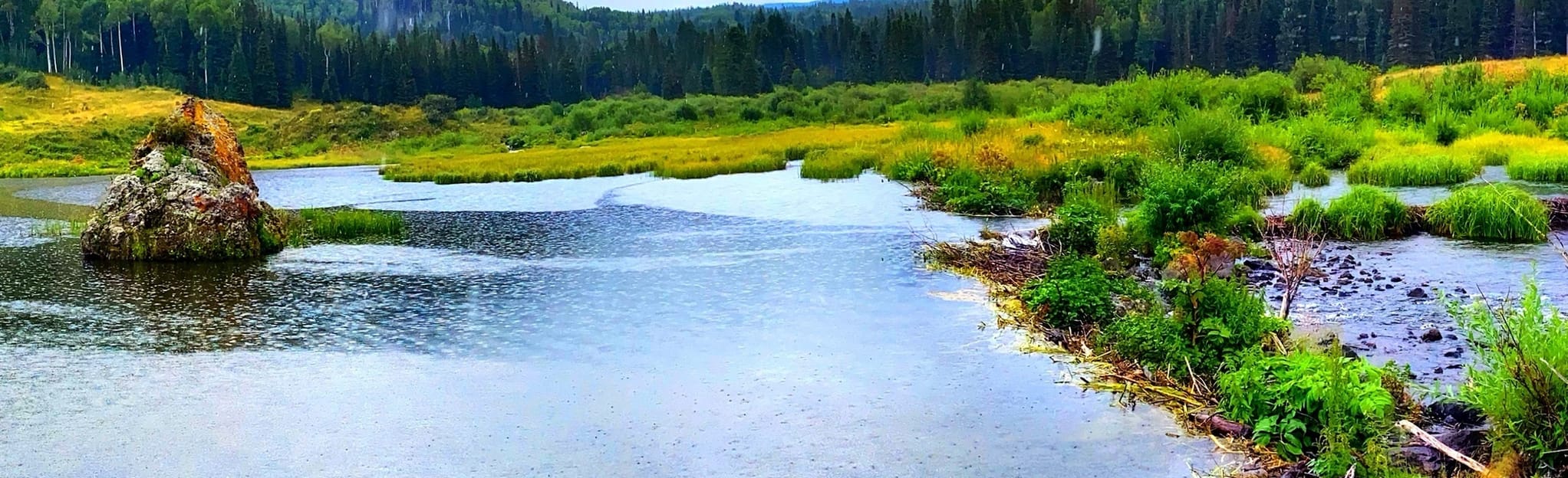 Marvine Trail, Colorado - 64 Reviews, Map | AllTrails