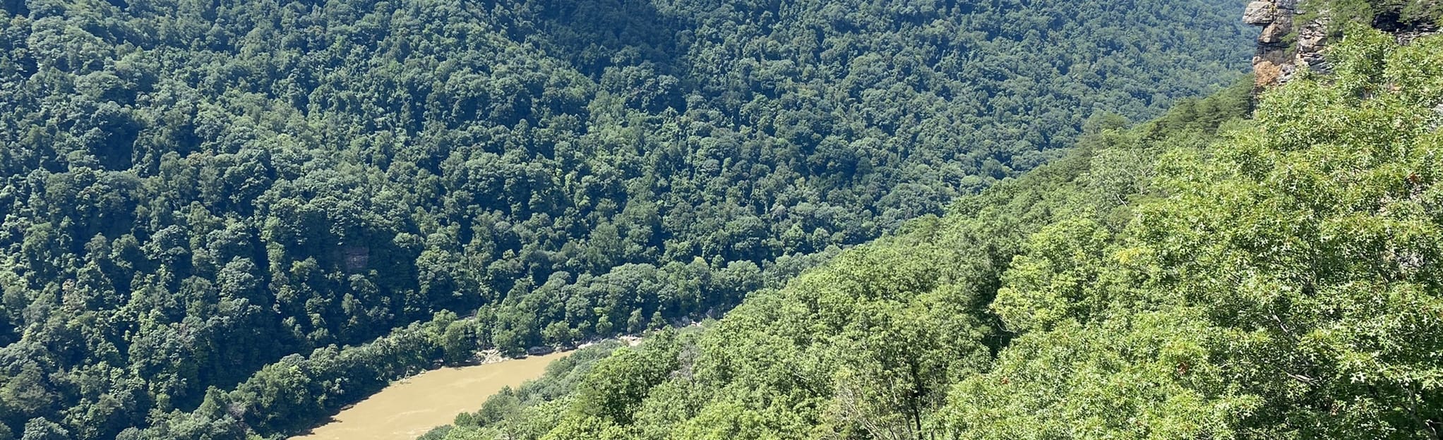 Endless Wall Trail: 3733 Reviews, Map - West Virginia | AllTrails