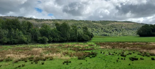 10 Best Walking Trails in Grange-over-Sands | AllTrails