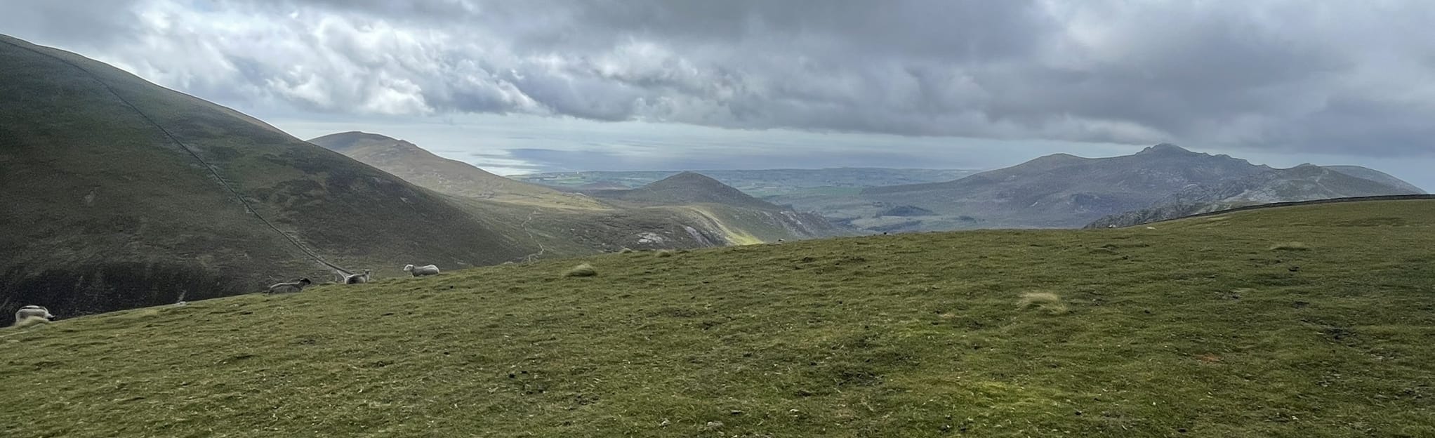 Donard Park - Commedagh Circular : 994 Photos - Ards and North Down ...