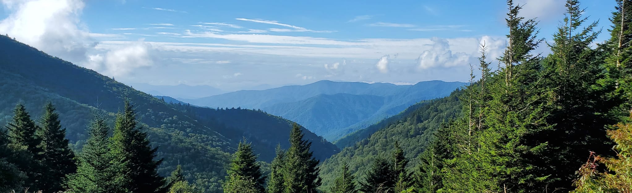 Appalachian Trail: Newfound Gap to Davenport Gap: 74 Reviews, Map ...