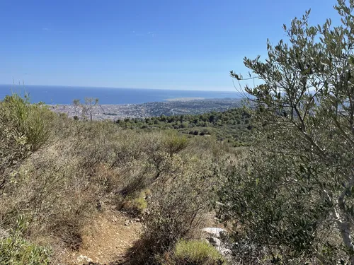 10 Best Trails and Hikes in Nice | AllTrails