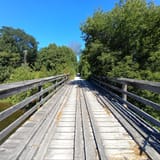 Sutton-Zephyr Rail Trail, Ontario, Canada - 69 Reviews, Map | AllTrails