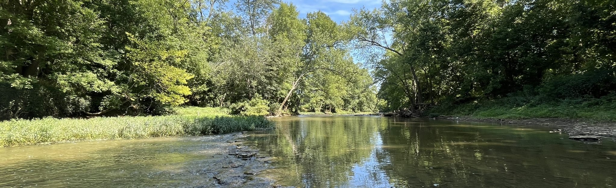 Boones Bottom Trail, Kentucky - 328 Reviews, Map | AllTrails