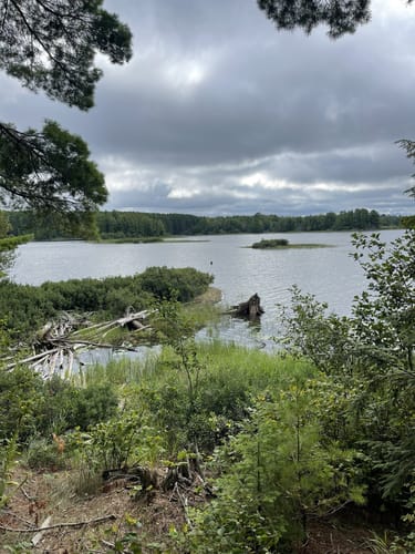 Best Hikes and Trails in Turtle-Flambeau Scenic Waters Area | AllTrails