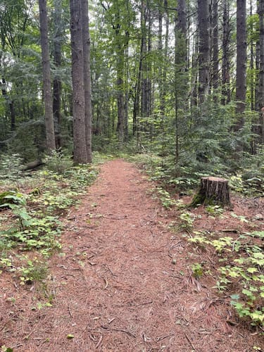 Best Hikes and Trails in Turtle-Flambeau Scenic Waters Area | AllTrails