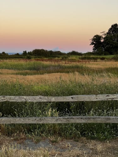 Best Hikes and Trails in Point No Point Lighthouse and Park | AllTrails