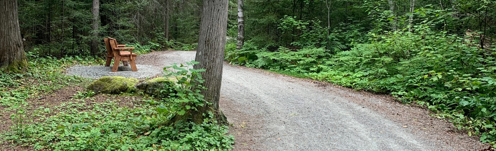 Lac des Soeurs Loop: 38 Reviews, Map - Quebec, Canada | AllTrails