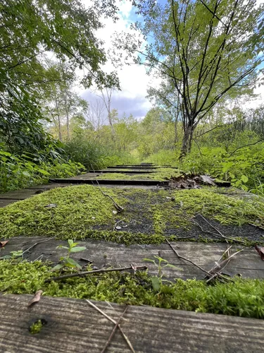 Best Hikes and Trails in Oil City | AllTrails