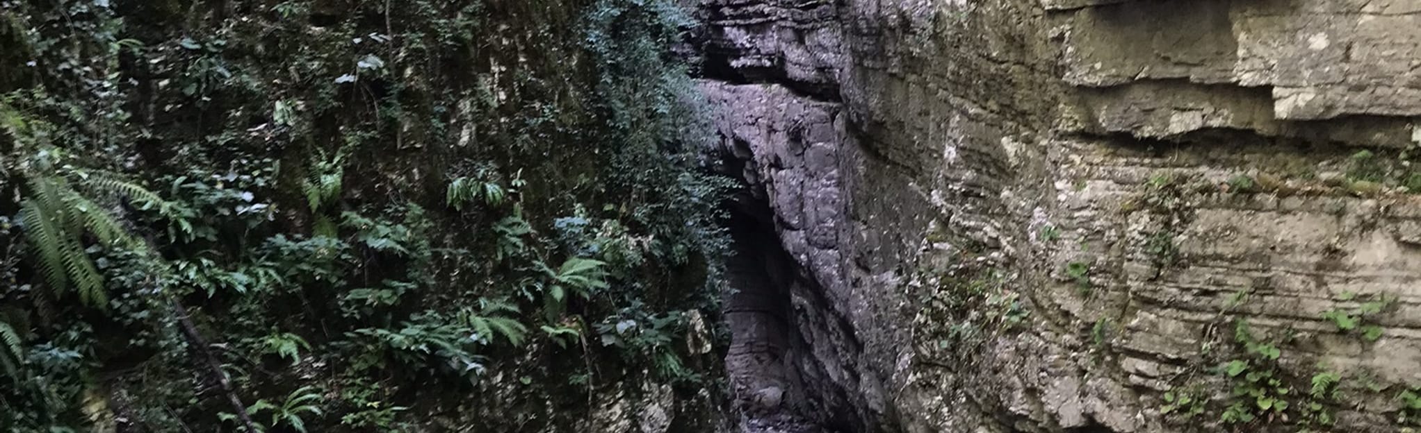 Orrido di Botri - Salto dei Becchi: 3 foto's - Toscane, Italië | AllTrails