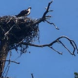 Whits Lakes Spring, Montana - 142 Reviews, Map | AllTrails