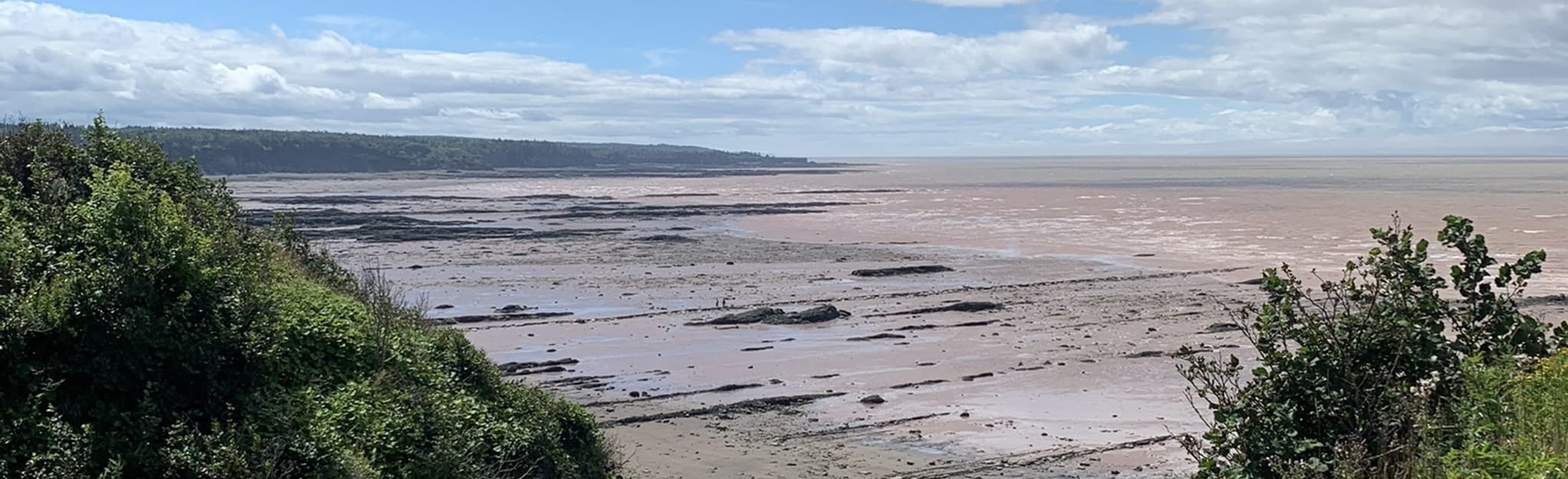 AllTrails | Joggins Fossil Cliffs: 9 Reviews, Map - Nova Scotia, Canada