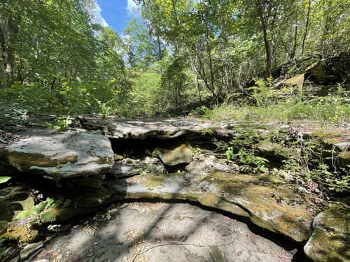 Best Hikes and Trails in Devils Backbone Wilderness | AllTrails