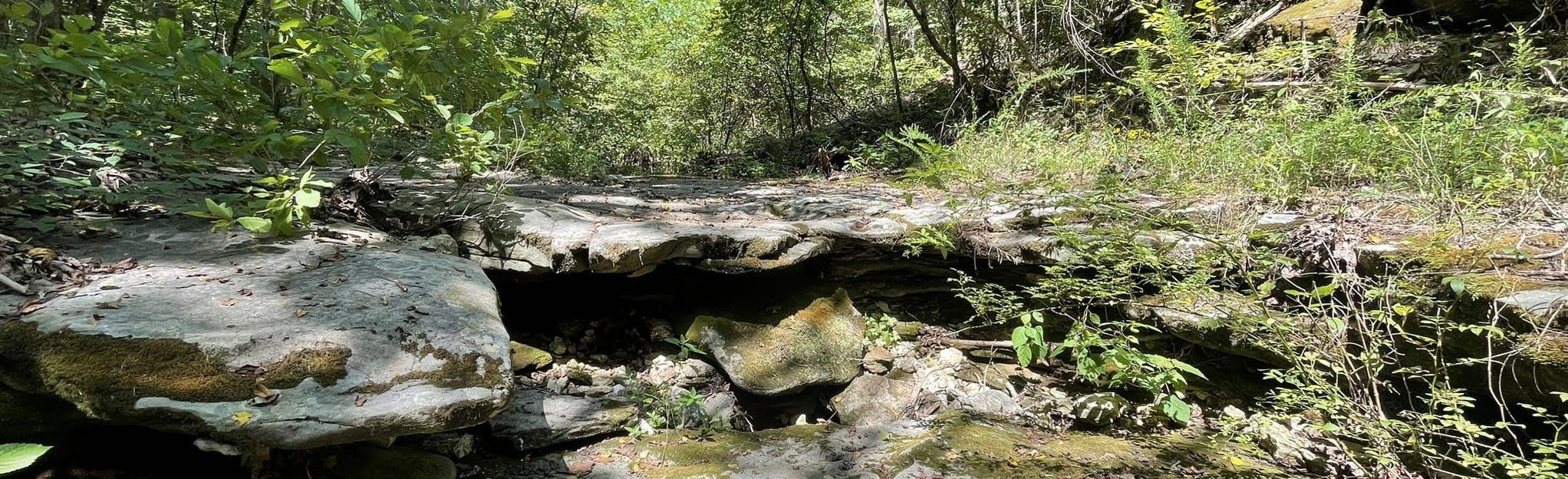 Devils Backbone Trail via State Hwy CC, Missouri - 20 Reviews, Map ...