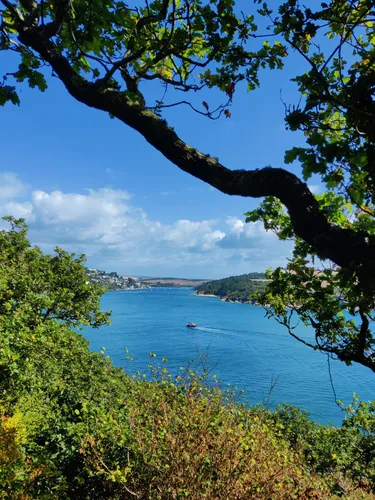 10 Best Hikes and Trails in South Devon Area of Outstanding Natural ...