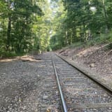 Bonner Park Loop, Pennsylvania - 269 Reviews, Map | AllTrails