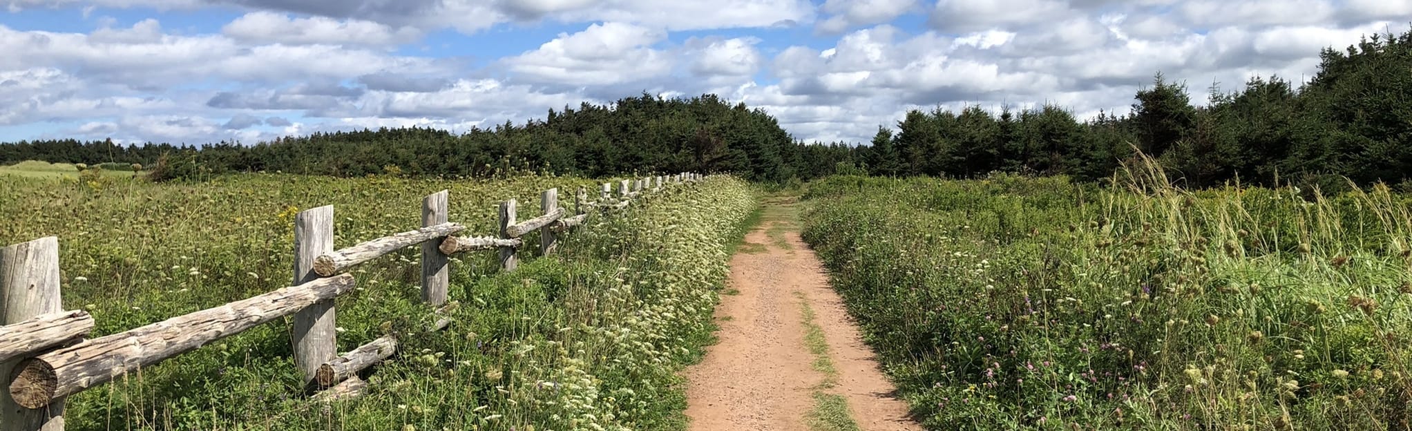 Cavendish Dunes and Beach Trail Loop: 57 Reviews, Map - Prince Edward ...