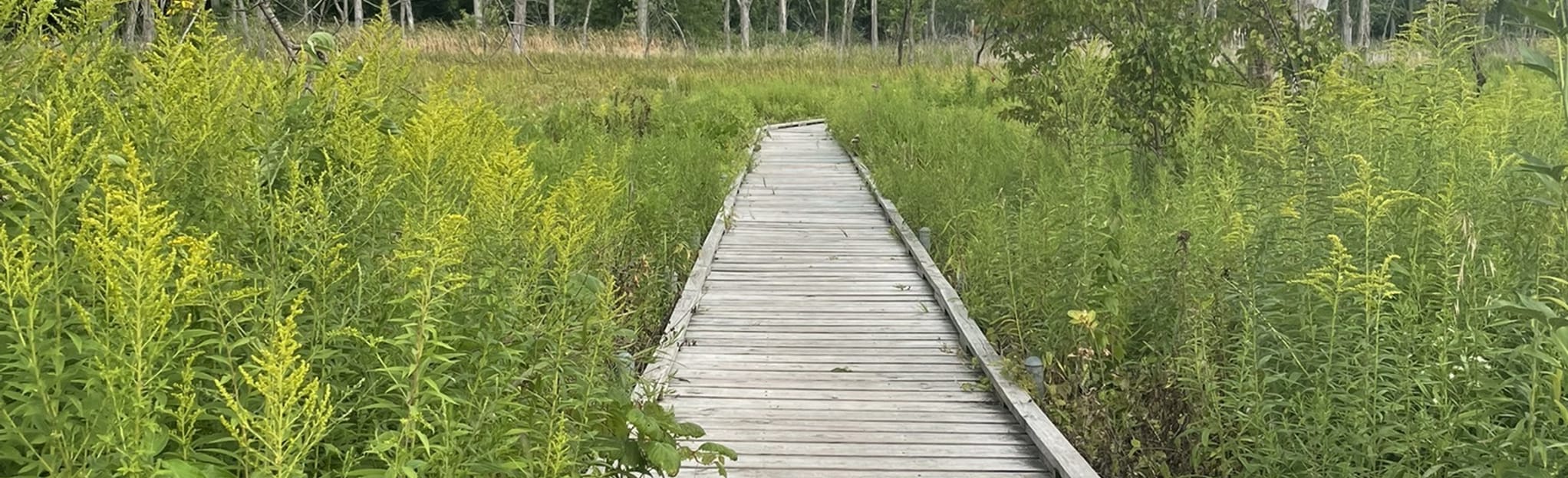 Ferson Creek Fen Nature Trail, Illinois - 18 Reviews, Map | AllTrails