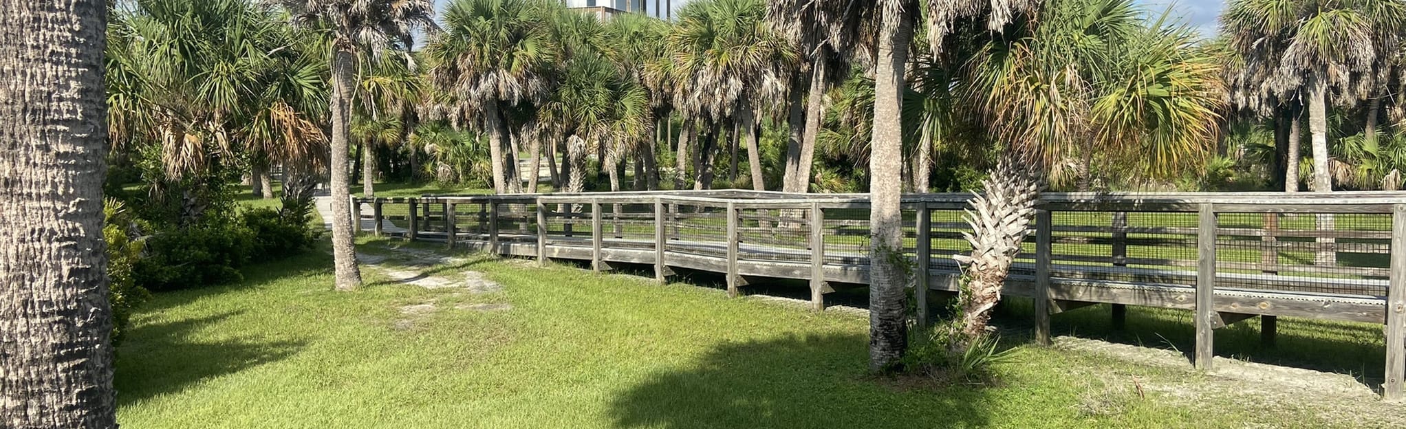 Clearwater Beach to Caladesi Island Walk, Florida - 61 Reviews, Map ...