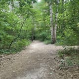 Provin Park Trail, Michigan - 750 Reviews, Map | AllTrails