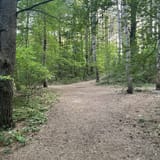 Provin Park Trail, Michigan - 750 Reviews, Map | AllTrails
