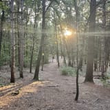 Provin Park Trail, Michigan - 750 Reviews, Map | AllTrails