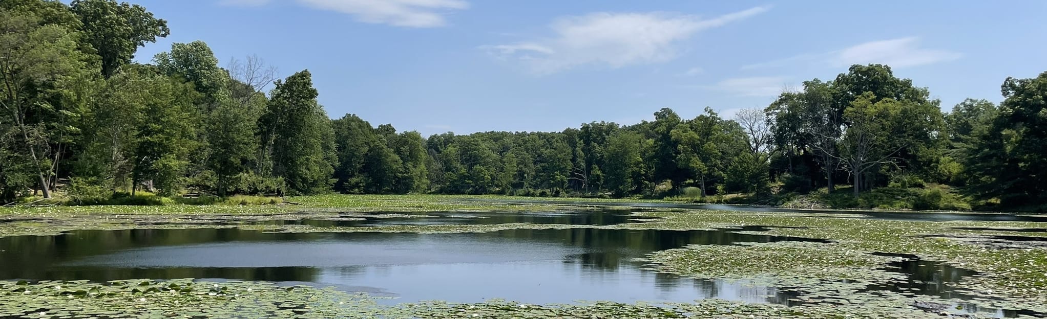 Teatown Lake Three Lakes Loop, New York - 818 Reviews, Map | AllTrails