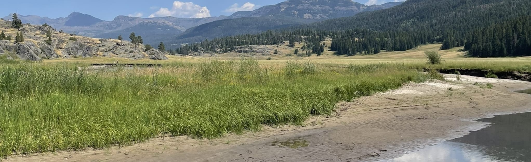 Buffalo Fork Trail: 1 Reviews, Map - Montana | AllTrails