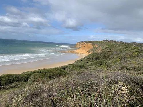 10 Best Trails and Hikes in Anglesea | AllTrails