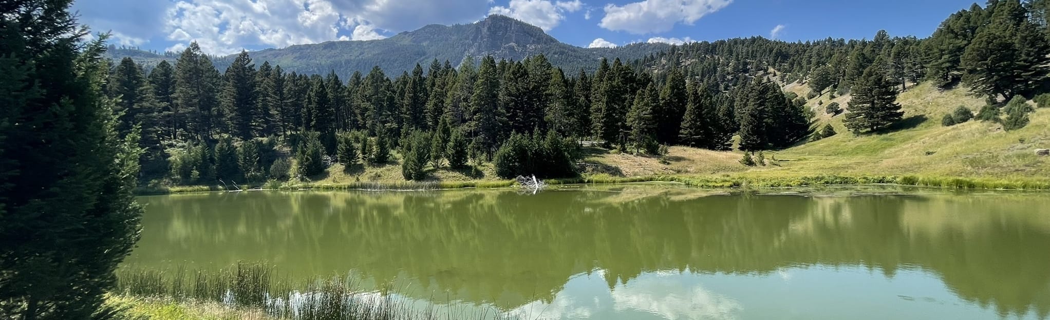 Beaver Ponds Loop Trail, Montana - 1,058 Reviews, Map | AllTrails