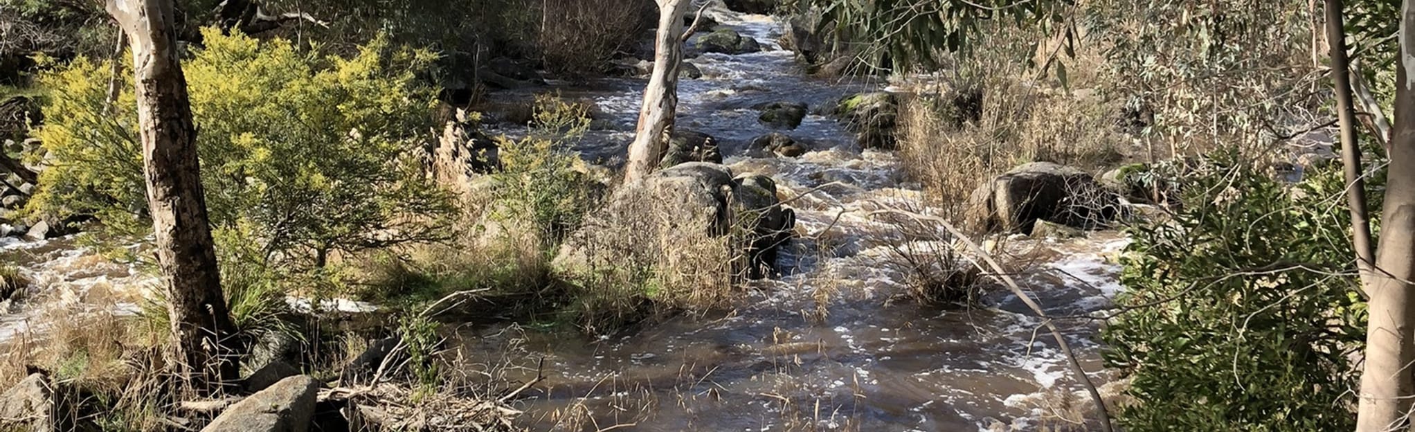 Gooram Falls, Victoria, Australia - 13 Reviews, Map | AllTrails