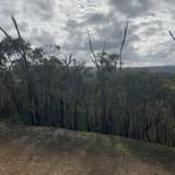 Mount Everard Track, Victoria, Australia - 22 Reviews, Map | AllTrails