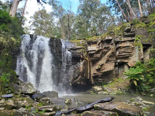10 Best Trails and Hikes in Lorne | AllTrails