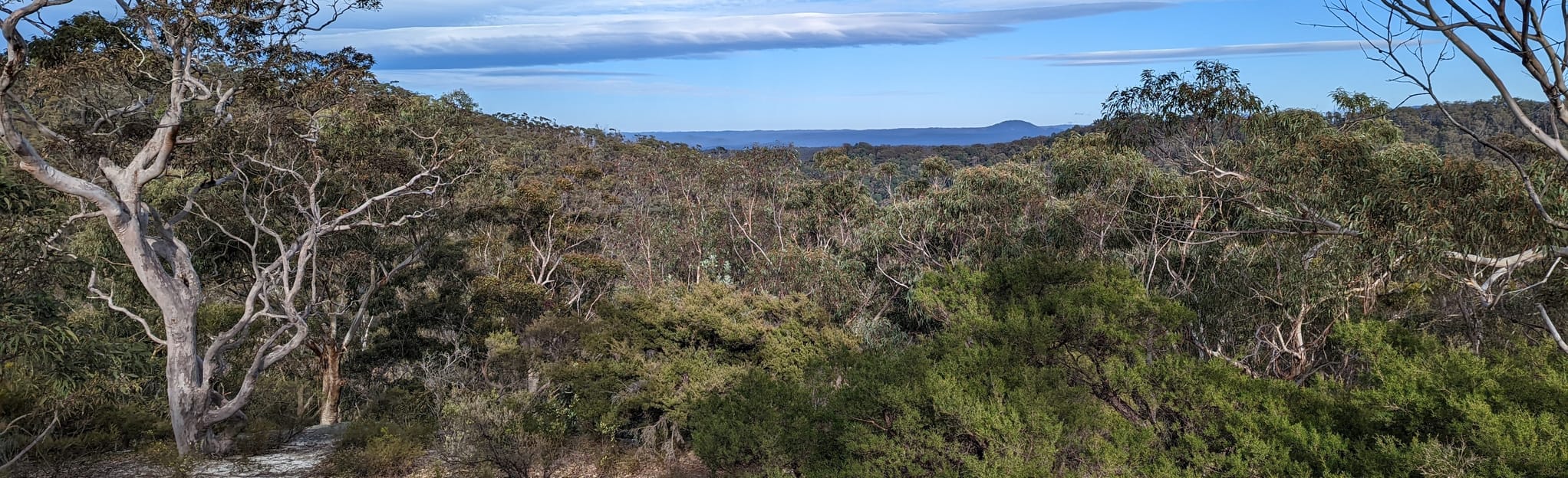 Burralow Fire Trail, New South Wales, Australia - 111 Reviews, Map ...