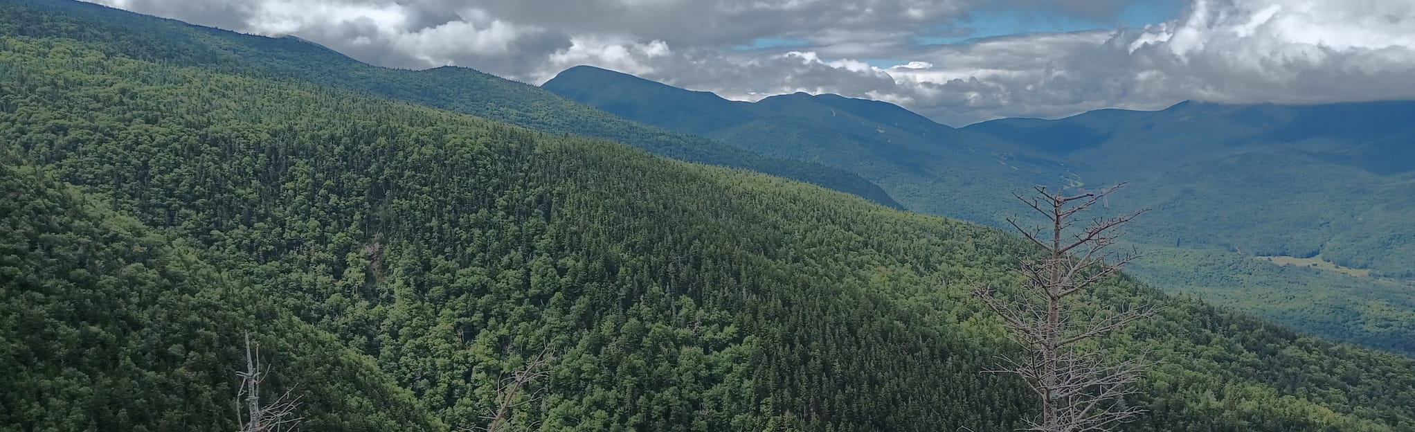 Imp Trail, New Hampshire - 398 Reviews, Map | AllTrails