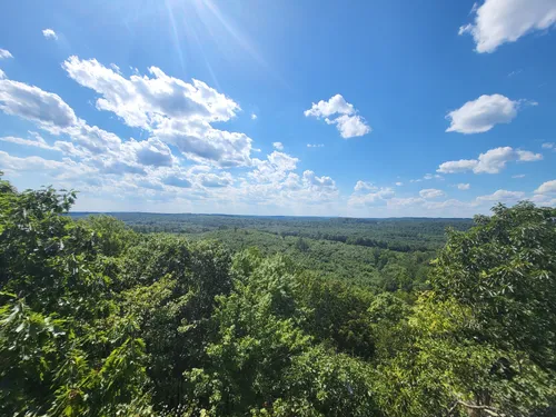 10 Best Hikes and Trails in Naugatuck State Forest | AllTrails